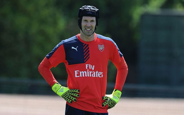 Cech: Arsenal signing pictured in training following Chelsea move