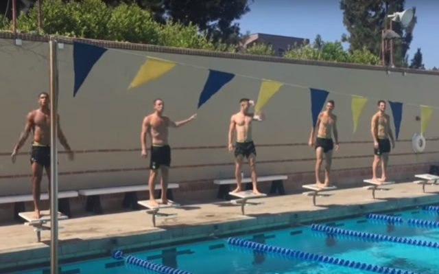 Chelsea swimming race: John Terry makes Olympic case
