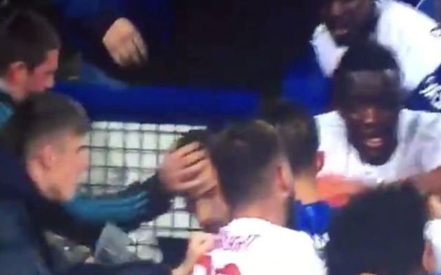 (Watch) Crazy scenes as Everton fan throws punch at player