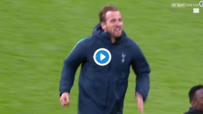 Harry Kane celebration video Tottenham Ajax