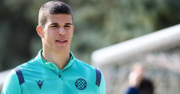 Tottenham beat Man City to Luka Vuskovic transfer