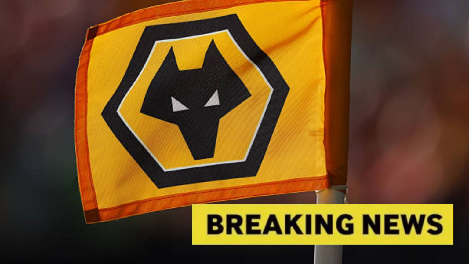 Wolves could be forced to sell star player to rivals in January
